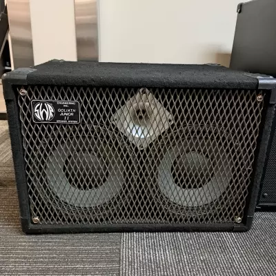 Gear Hunter | SWR Goliath JR II 210 Cab